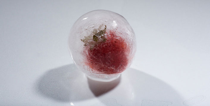 Neve Ice, a Craft Ice Company | Products